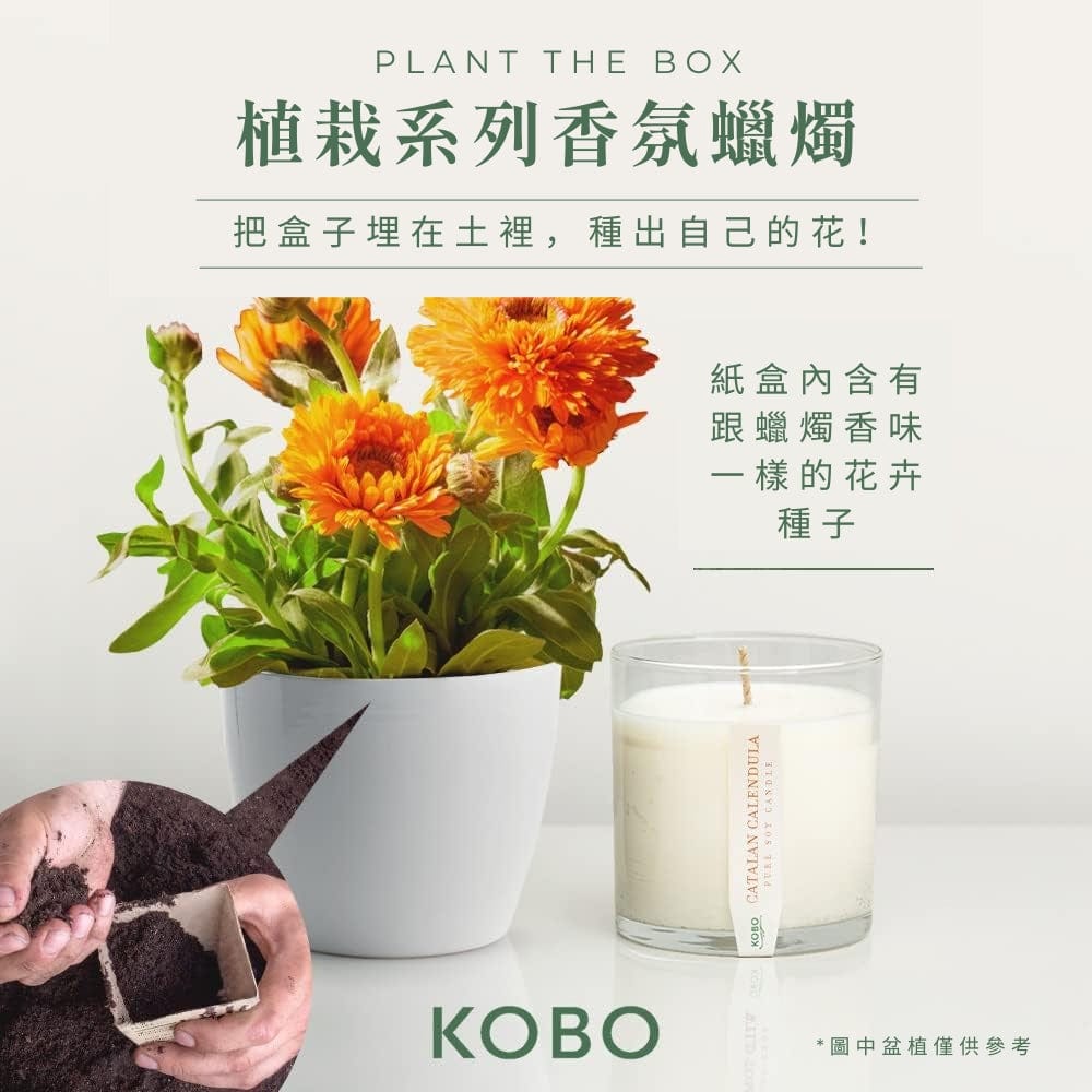KOBO CANDLES【植栽系列】野生金盞花大豆蠟燭｜舒心花香系列 – 引香室｜Aromatique Home